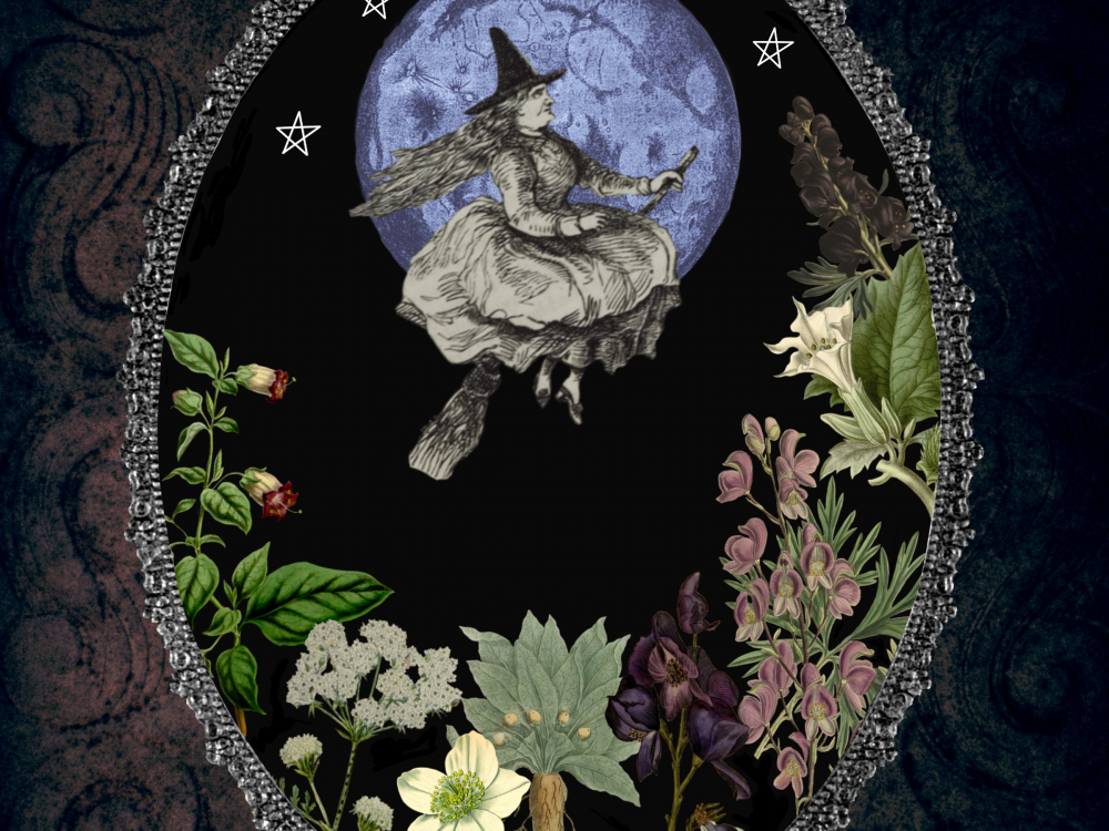 8x10 Flying Potion Print | Black Rabbit Curiosities